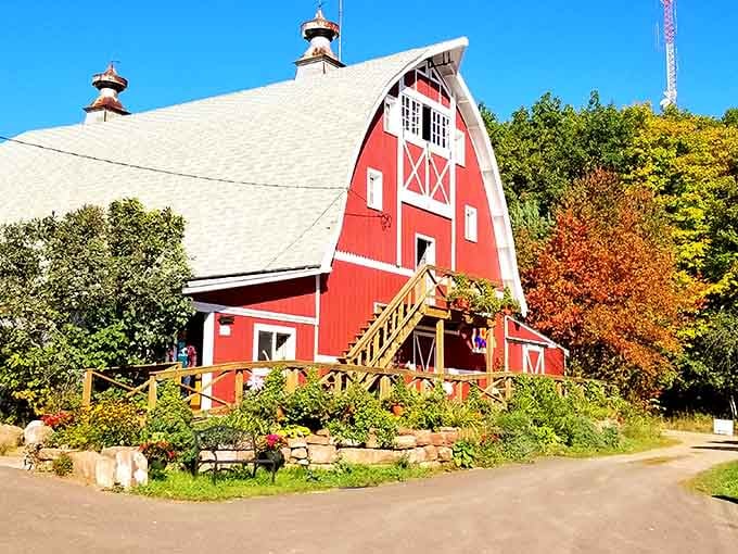 Hauser's Superior View Farm's classic red barn looks like it escaped from a Norman Rockwell painting, bless it.
