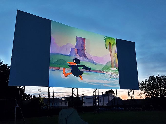 Watching cartoons under the stars brings out the kid in everyone, regardless of how many birthdays you've celebrated.