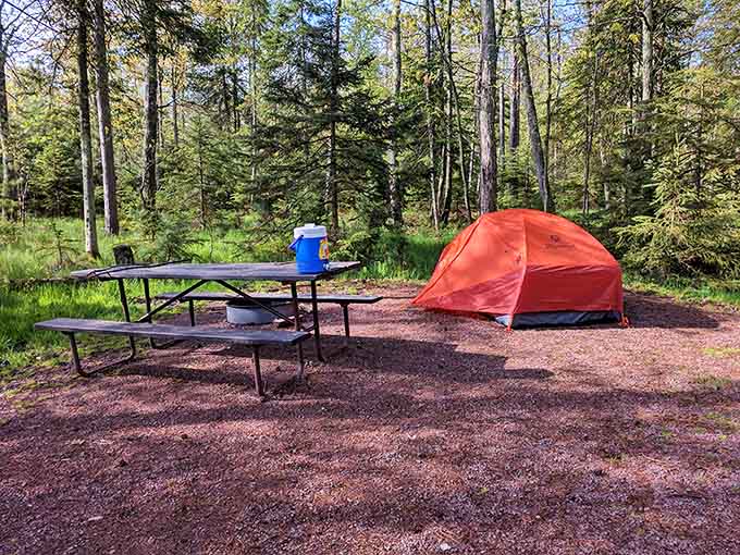 Your campsite comes with a picnic table, fire ring, and million-dollar views that no hotel could ever replicate.
