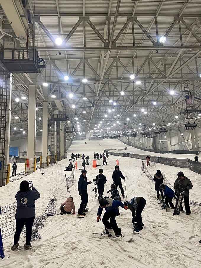 Multiple runs and varying terrain mean you can actually improve your skills instead of just surviving one slope.