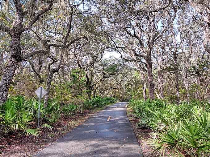 This canopy-covered path through twisted oaks feels like stepping into a forgotten fairy tale world.