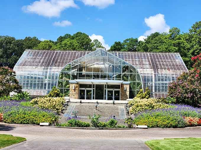 The conservatory's grand glass facade promises exotic adventures inside, like a botanical choose-your-own-adventure novel come alive.