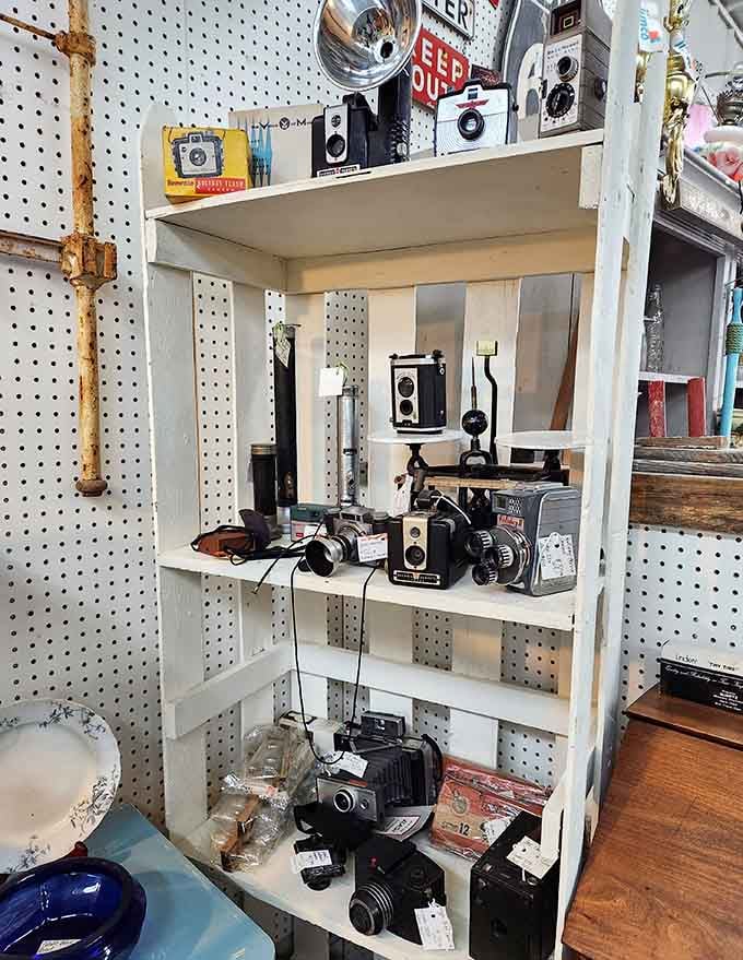 Vintage cameras line the shelves, ready to remind you when photography required actual film and patience.