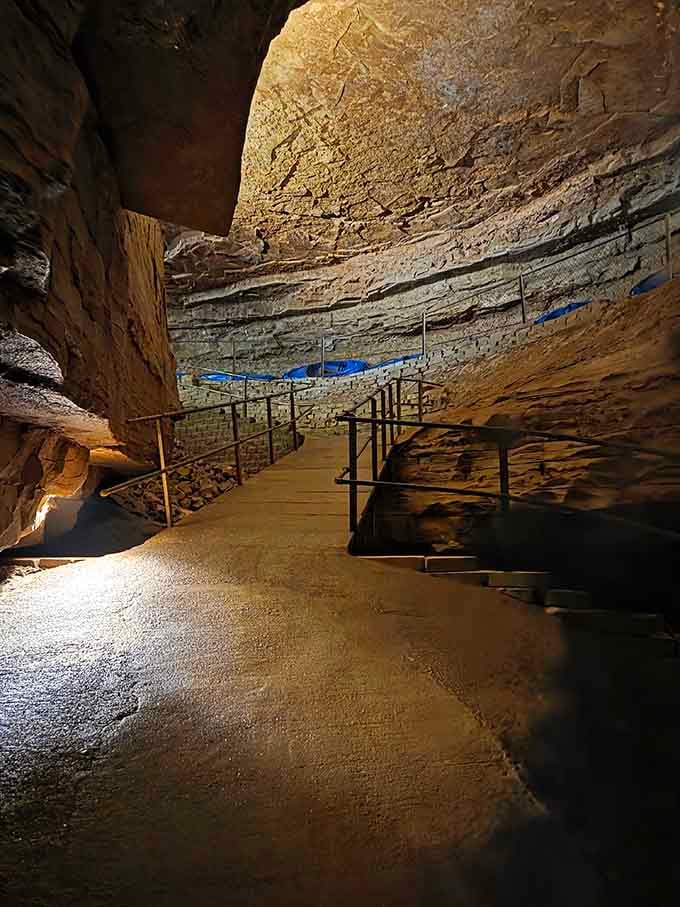 The path winds deeper into the earth, inviting you to explore what lies beyond everyday sunlight.