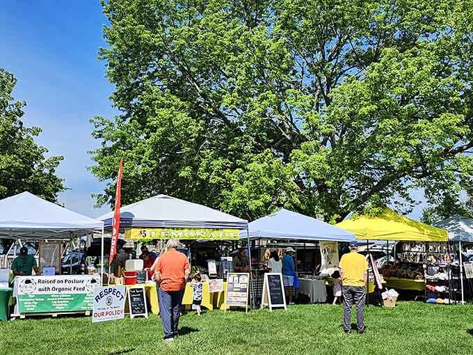 Fresh produce, handmade crafts, and community vibes that remind you why farmers markets will never go out of style.