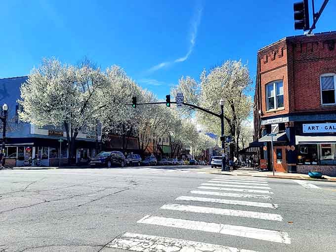 Spring blooms transform Main Street into something Norman Rockwell would've painted between coffee breaks.