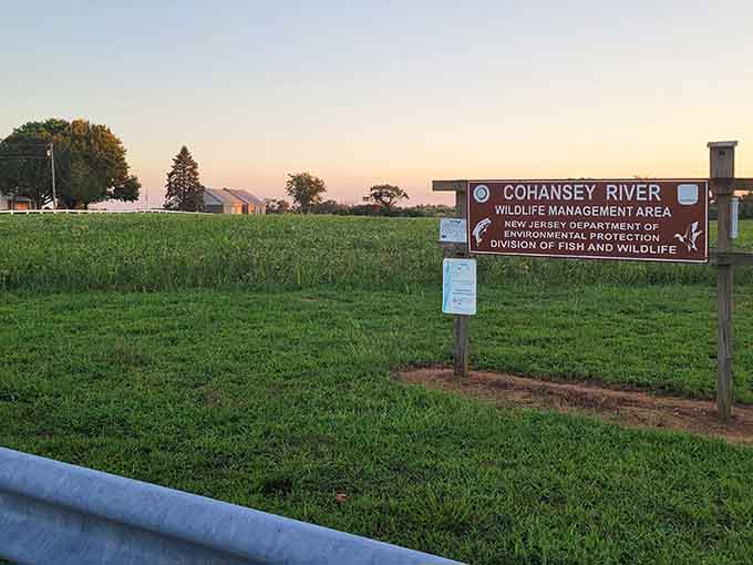 Cohansey River Wildlife Management Area provides nature access that won't cost you an annual membership or parking nightmare.