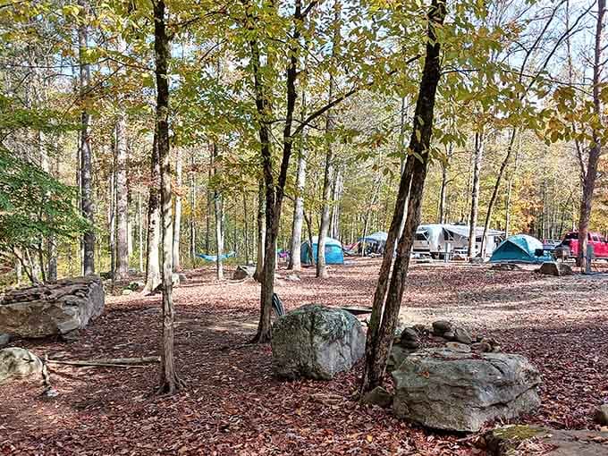 Camping among these trees and boulders beats any five-star hotel, assuming you consider birdsong better than room service.
