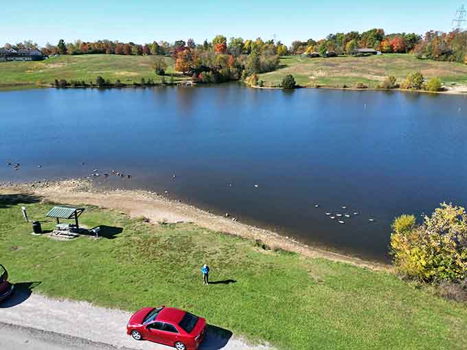 That lake view practically begs you to pack a picnic and remember what relaxing actually feels like.