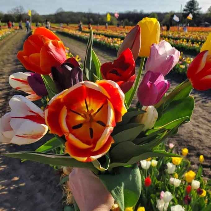 Your own hand-picked bouquet proves you've got better taste than any florist could ever claim to have.