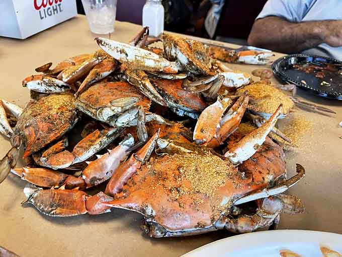 When blue crabs need backup, these beauties step in with sweet meat that practically falls into your mouth.