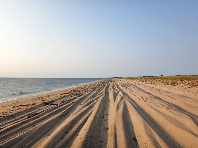 Tire tracks pattern the sand like abstract art at sunset, proof that getting here requires commitment and four-wheel drive.