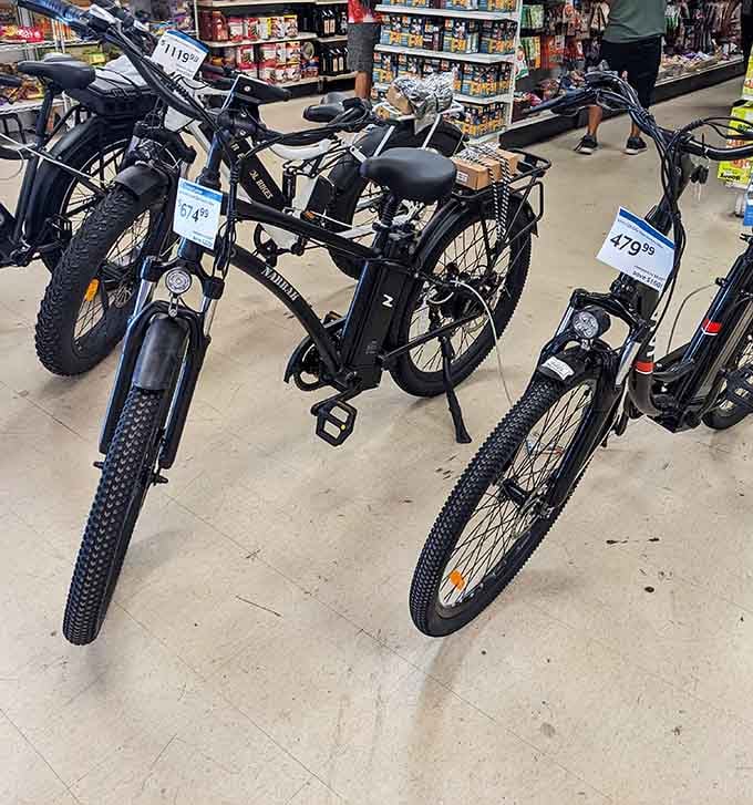 Electric bicycles offering eco-friendly transportation that won't require selling your car to afford, which seems wonderfully ironic.