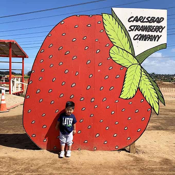 This giant strawberry photo op is pure joy, giving kids something to remember long after the berries are gone.