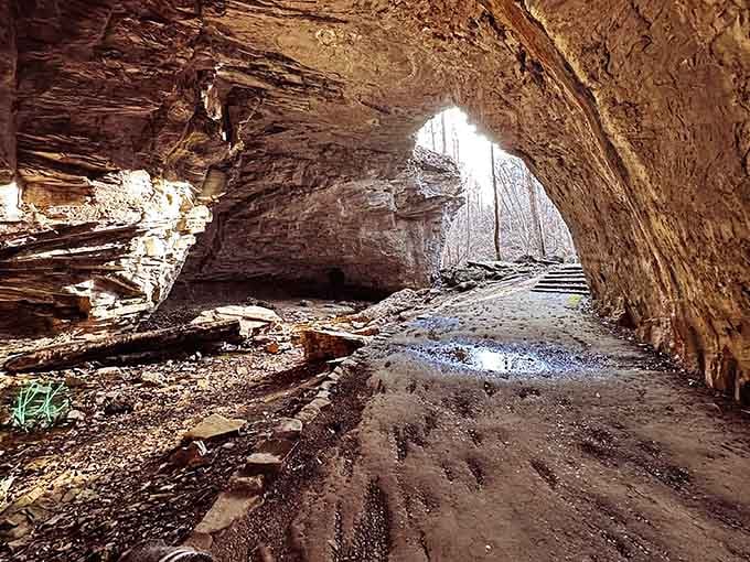 When sunlight streams through a cave opening like this, you half expect a choir of angels to start singing.