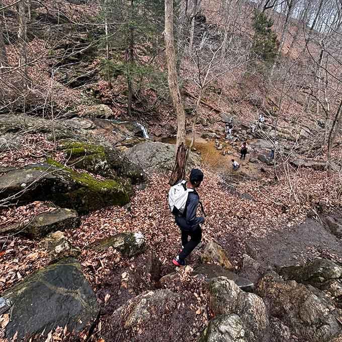 Boulder-hopping along the stream requires careful footing, turning your hike into an impromptu balance beam workout session.