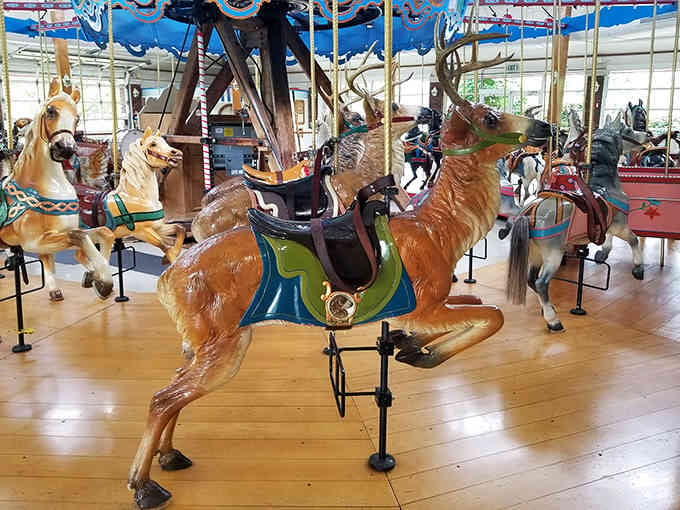 This leaping deer proves the carousel isn't just about horses &ndash; it's a whole wooden menagerie.