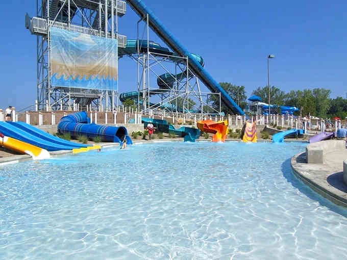 The kiddie pool where tiny humans discover the joy of splashing while parents discover the joy of sitting down.