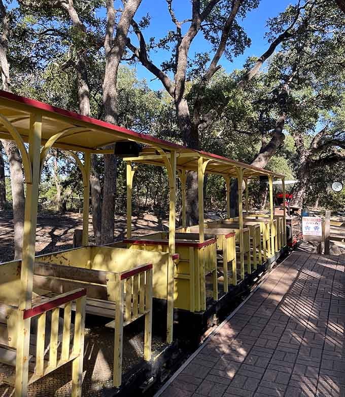 The cheerful yellow cars wind through Hill Country shade, offering breezy comfort on your scenic journey.