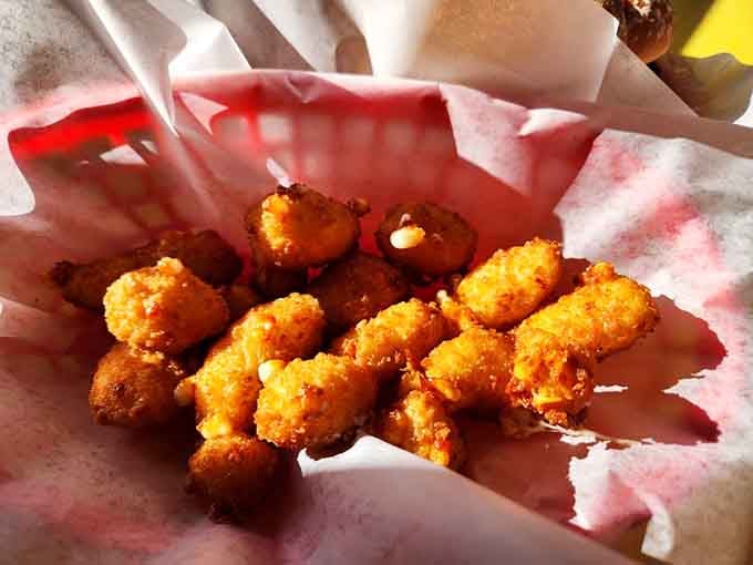 Golden, crispy cheese curds that prove Wisconsin doesn't have a monopoly on fried dairy excellence after all, my friends.