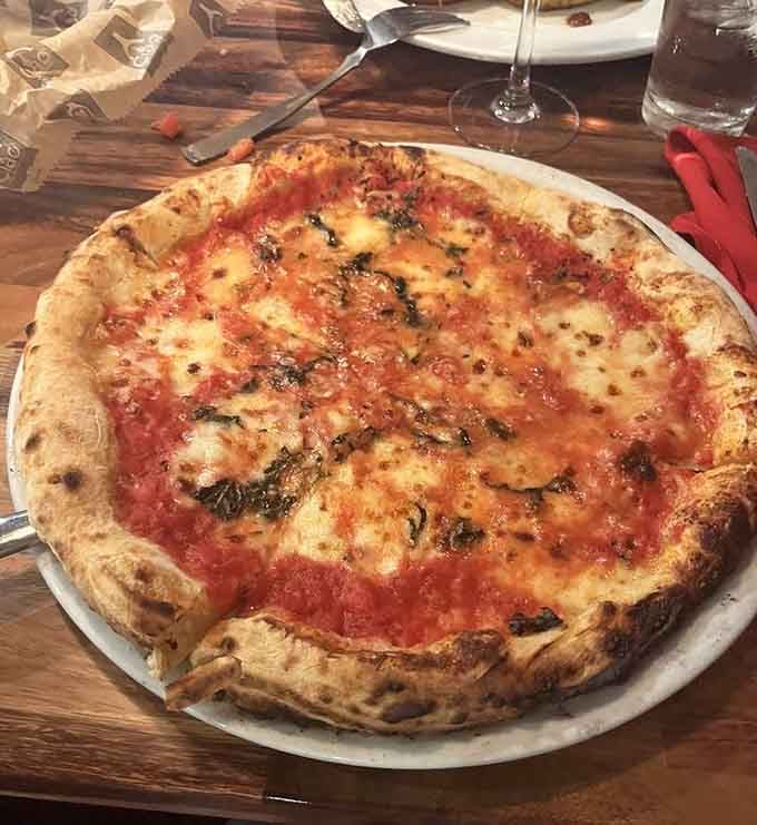 Classic Margherita pizza with that perfect char, proving simplicity done right beats complexity done wrong every single time.