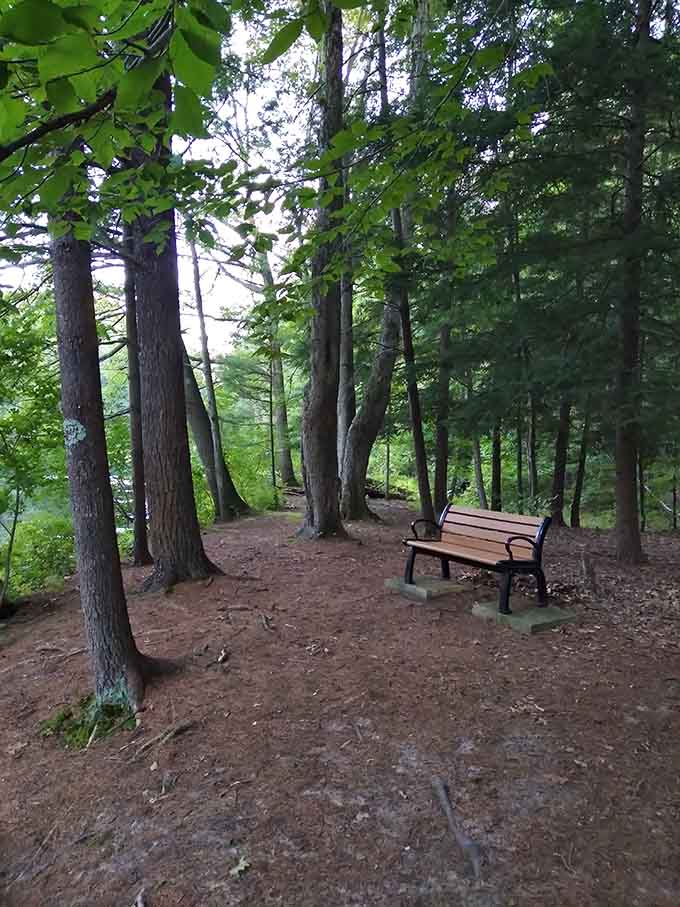 Best seat in the house for pondering life's mysteries or just enjoying peaceful water views.