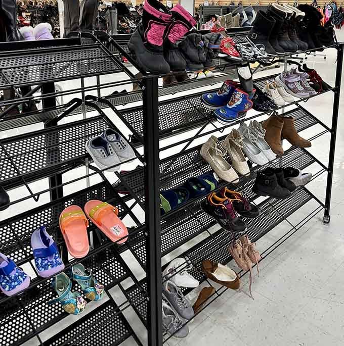 Sneakers, sandals, and boots organized neatly, proving that great footwear doesn't require a three-figure investment.