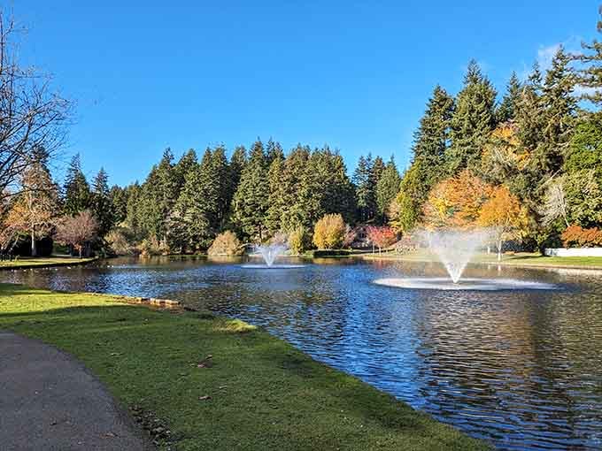Mingus Park offers peaceful waterfront strolls that cost exactly zero dollars and deliver priceless tranquility.