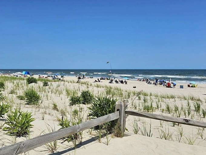 Even the smallest explorers can discover big adventures on trails that wind through this coastal wonderland.