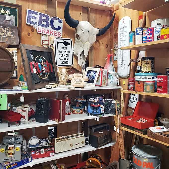 That longhorn skull presides over eclectic treasures like a Western guardian of forgotten memories.