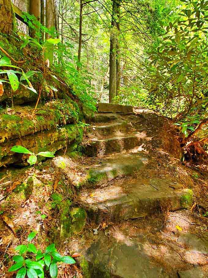 Stone steps carved by time and water, leading you deeper into Kentucky's secret garden of wonders.