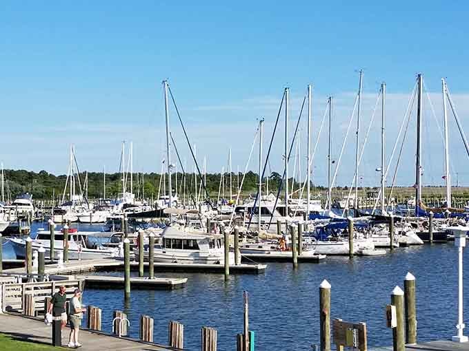Somers Cove Marina hosts vessels of all sizes, democratizing waterfront access in ways fancier towns have long forgotten.