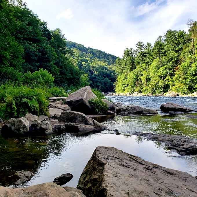 The Youghiogheny River flows peacefully here, saving its dramatic whitewater personality for rafters downstream.