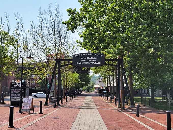 This tree-lined pathway connects past to present, inviting leisurely strolls that don't require fitness trackers or performance goals.