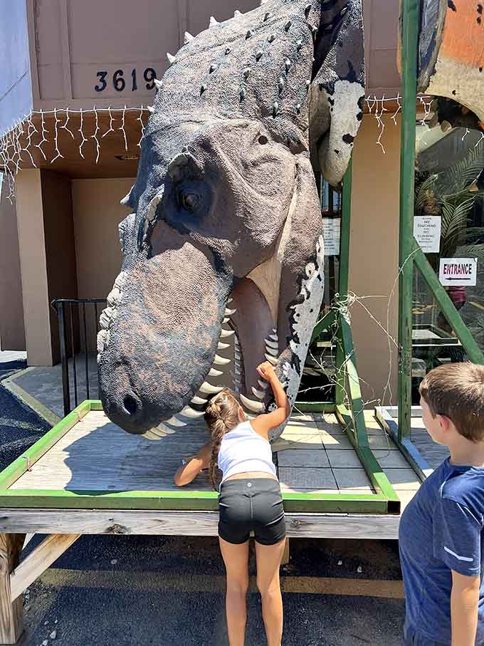 That outdoor Pachycephalosaurus head lets kids get up close without worrying about the whole "extinct for millions of years" thing.
