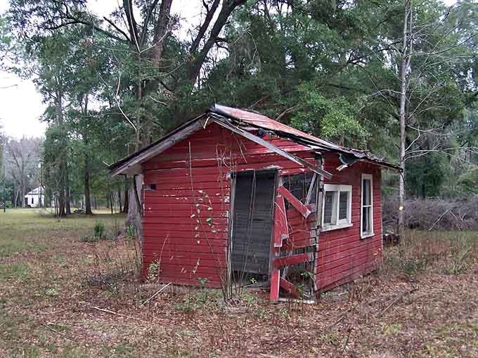 Small, red, and slowly surrendering to the forest, this tiny structure represents a simpler time in Florida's rural history.