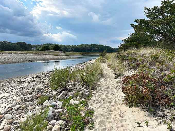 Dramatic clouds hover over the estuary's edge, where sandy paths lead adventurers between forest and sea in peaceful solitude.