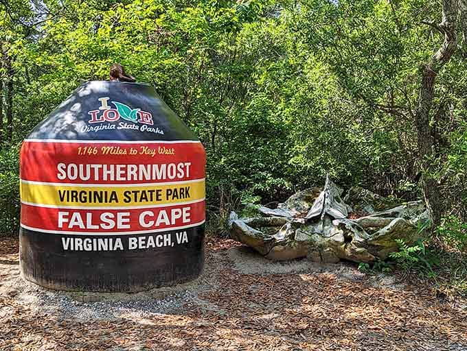 You've officially reached Virginia's southernmost state park, where the crowds forgot to follow you.