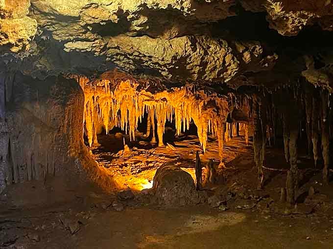 Golden stalactites descend like nature's own cathedral ceiling, illuminated for your geological appreciation and Instagram glory.