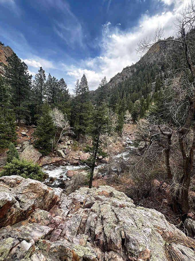 Canyon walls frame rushing water and evergreens in a composition so perfect it looks like a Bob Ross painting.