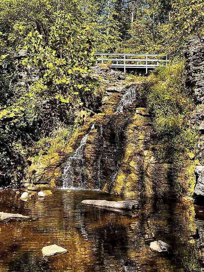 Small waterfalls pack big charm, creating those postcard moments you didn't know Indiana could deliver so effortlessly.