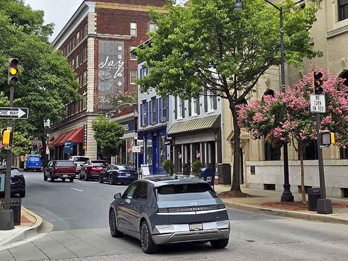 Pink blooms and vintage storefronts make this street corner look like a postcard your grandmother would've sent.