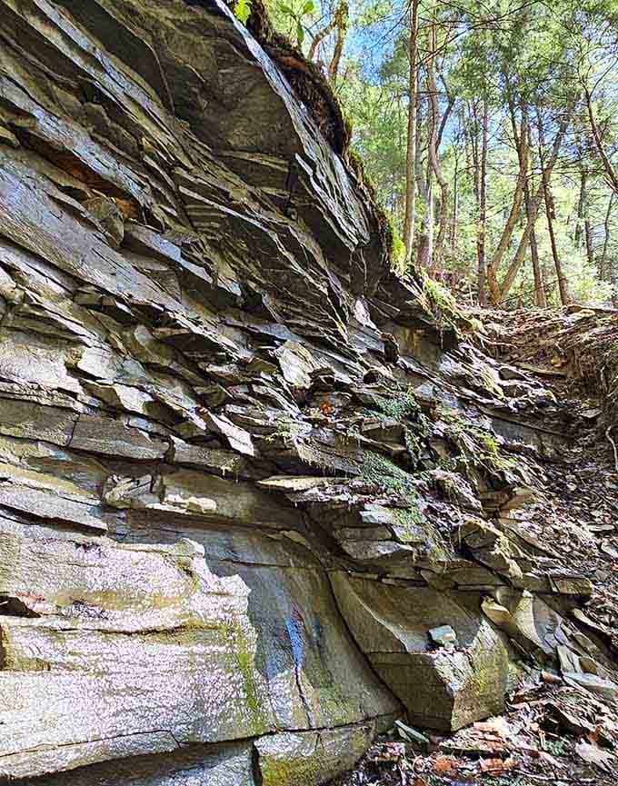 These sedimentary layers tell stories older than anyone's family tree, beautifully displayed for your viewing pleasure.