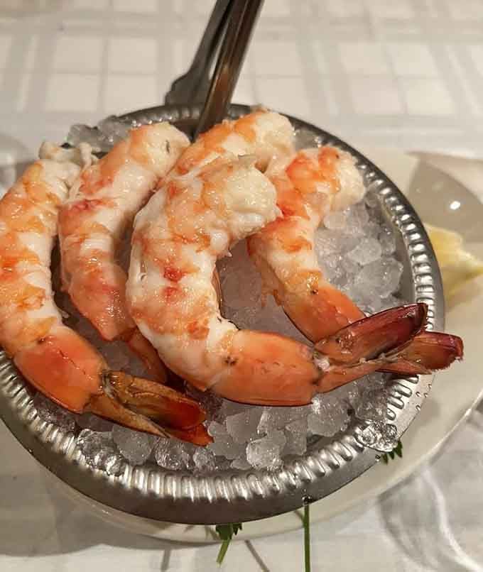 The legendary shrimp cocktail arrives like edible architecture, jumbo specimens defying gravity and expectations simultaneously.