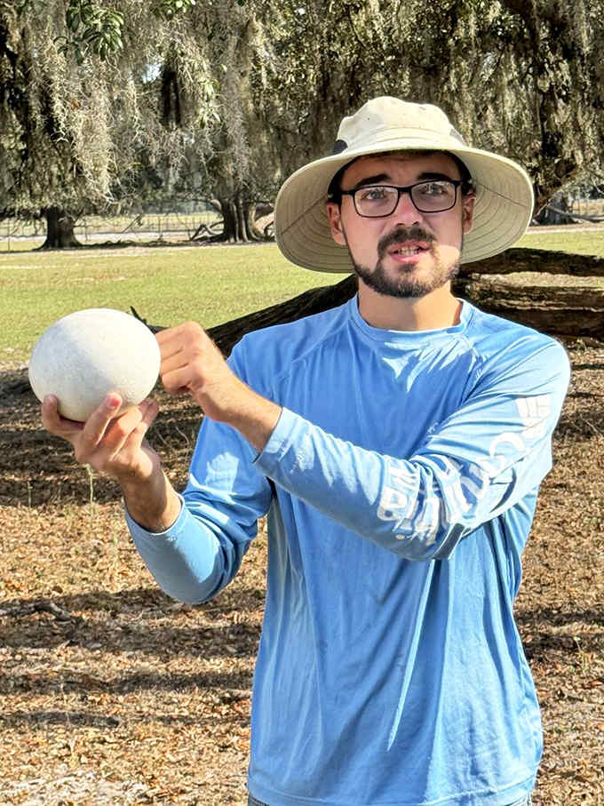 Holding an ostrich egg makes chicken eggs look like they're not even trying anymore, honestly.