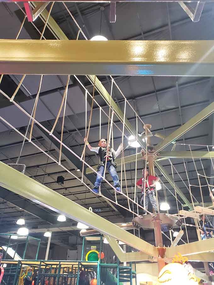 Suspended rope courses where tiny daredevils discover they're braver than their parents ever imagined possible, apparently.