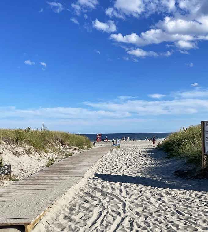 Beach grass sways along the boardwalk entrance like nature's own welcome committee, minus the awkward small talk and name tags.