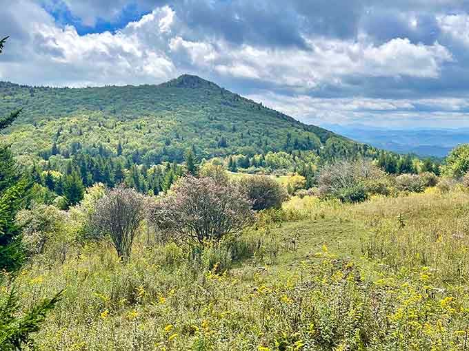 Open highlands where the grass waves in the breeze and you half expect Julie Andrews to come spinning over the hill.