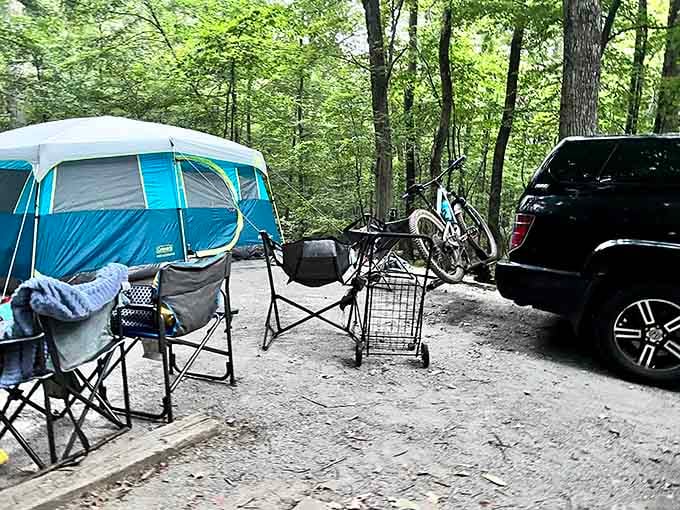 Camping here means waking to birdsong instead of car alarms, a trade-off that suddenly makes sleeping on the ground worthwhile.