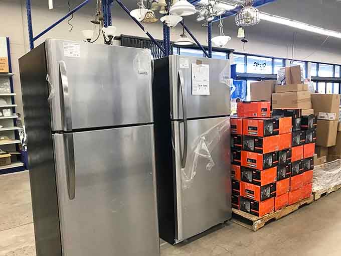 Stainless steel refrigerators gleaming with possibility, because keeping your groceries cold shouldn't cost a fortune.